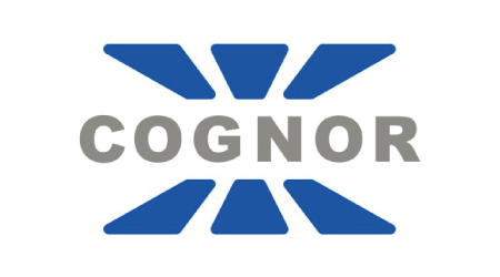 Cognor Holding chwali się wynikami i zapowiada rekordową dywidendę ...